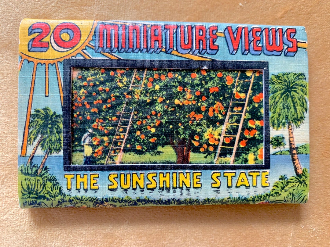 Vintage Linen Miniature Postcards / Old Florida Postcards / Mini ...