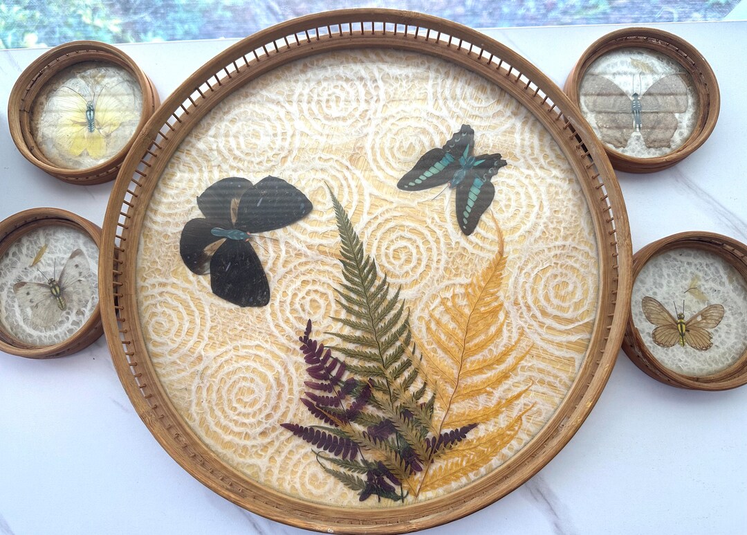 Vintage Rattan Tray With Dried Flowers and Butterflies Plus Six ...