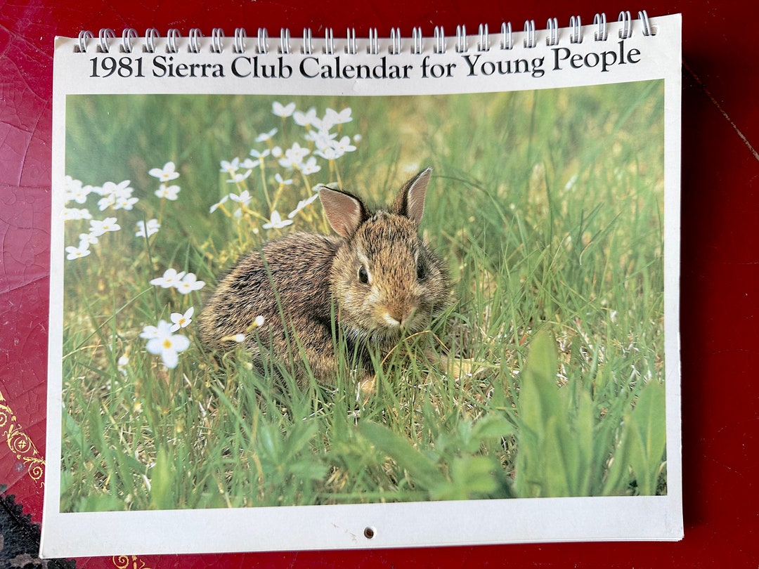 1981 Sierra Club Calendar for Young People, Unused - Etsy