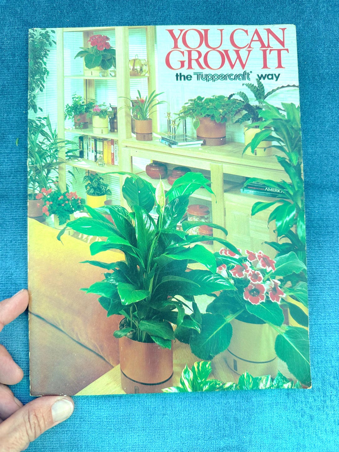 Vintage Tupperware Planter Plant Guide: "you Can Grow It the ...