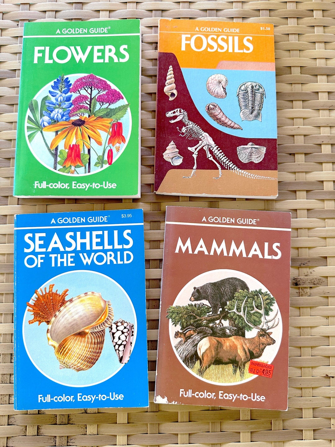 Four 1980s Golden Guides: Field Guides to Seashells, Mammals, Fossils ...