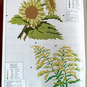 State Flower Cross Stitch Pattern Books, Pair: state Flower Borders and ...