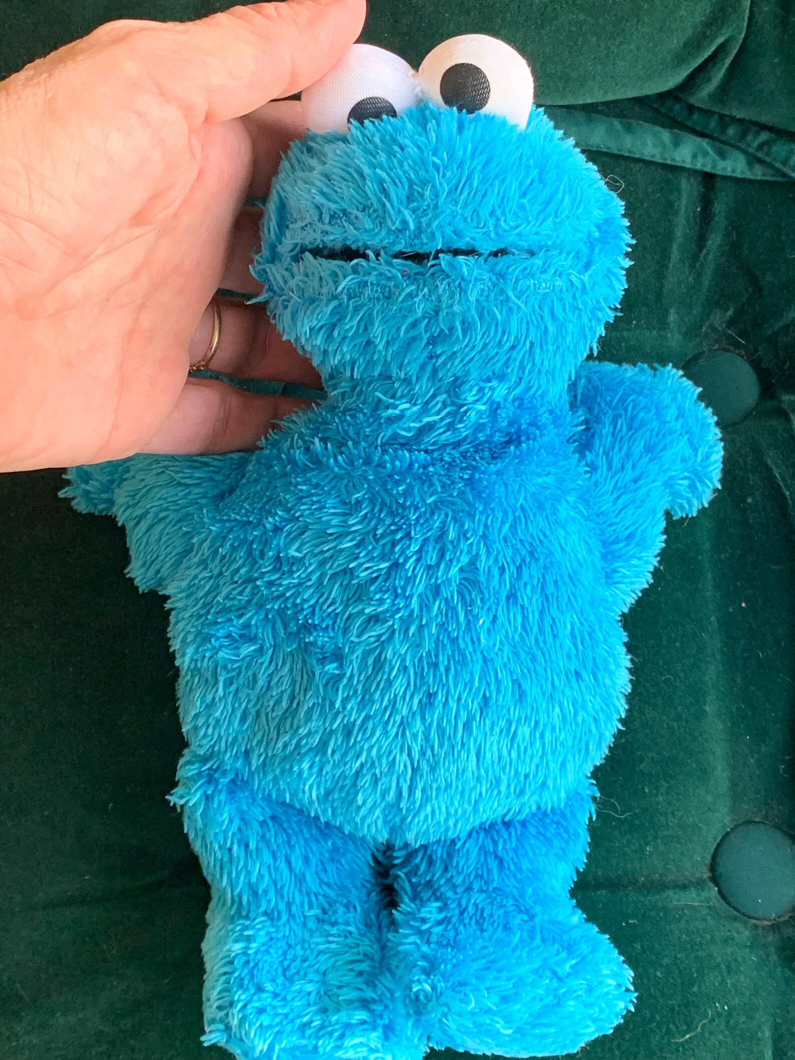 Sesame Street Stuffed Mini Friend Lot: Mini Cookie Monster - Etsy