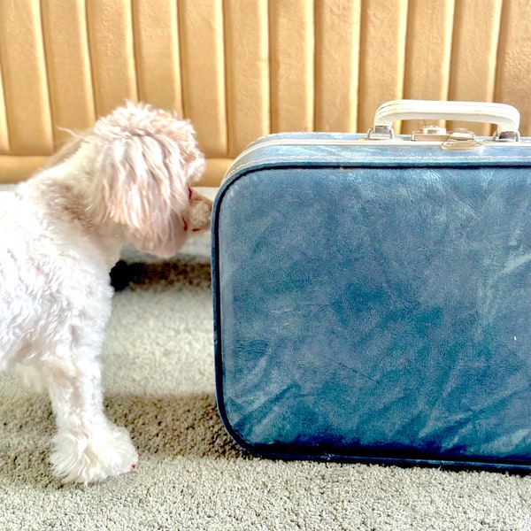 Blue Suitcase - Etsy