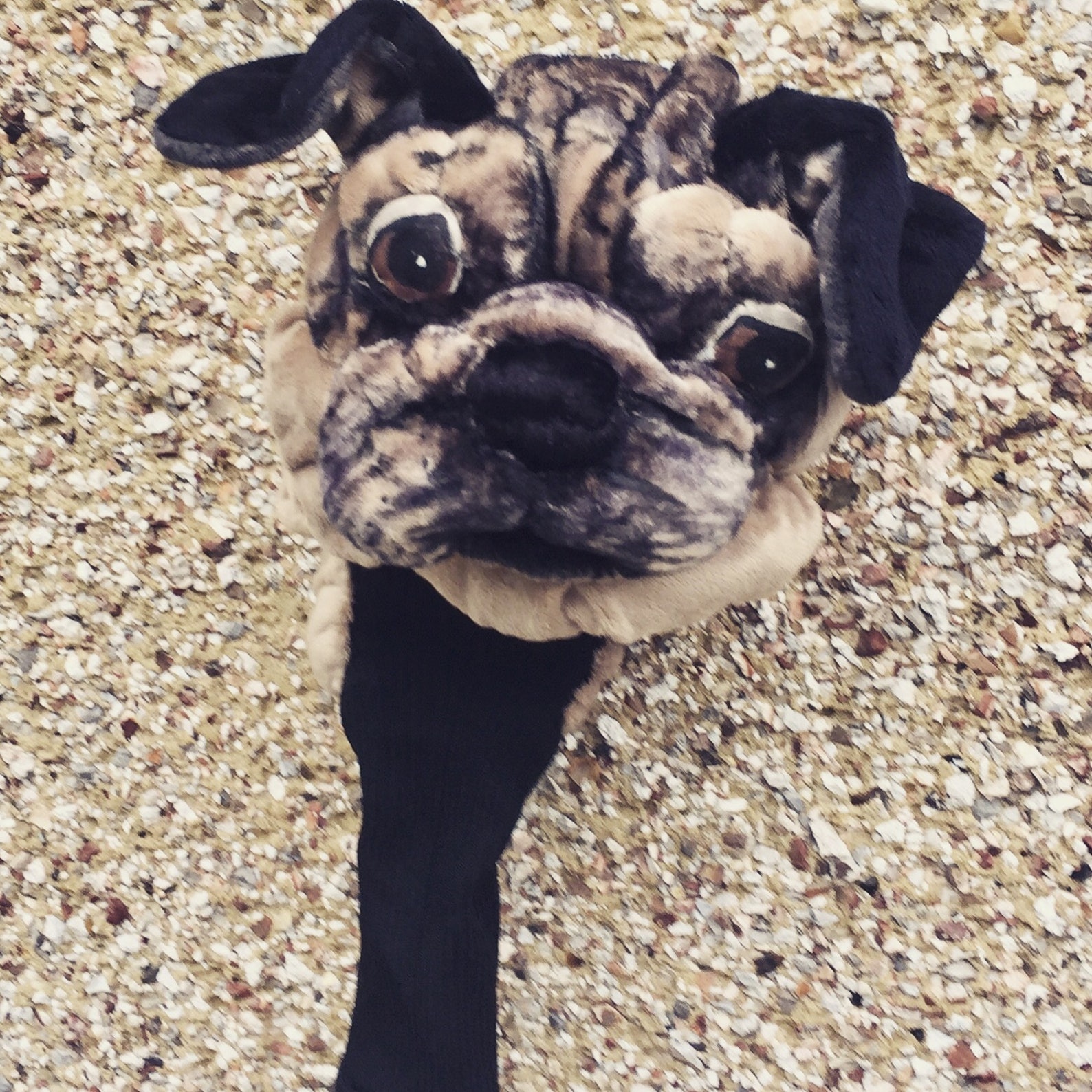 Custom Made Golf Headcover PUG Portrait Golf Gift - Etsy