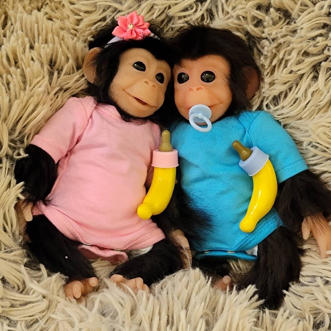 Full Silicone 8 Baby Chimpanzee Girl Kiki or Boy Kilo - Etsy