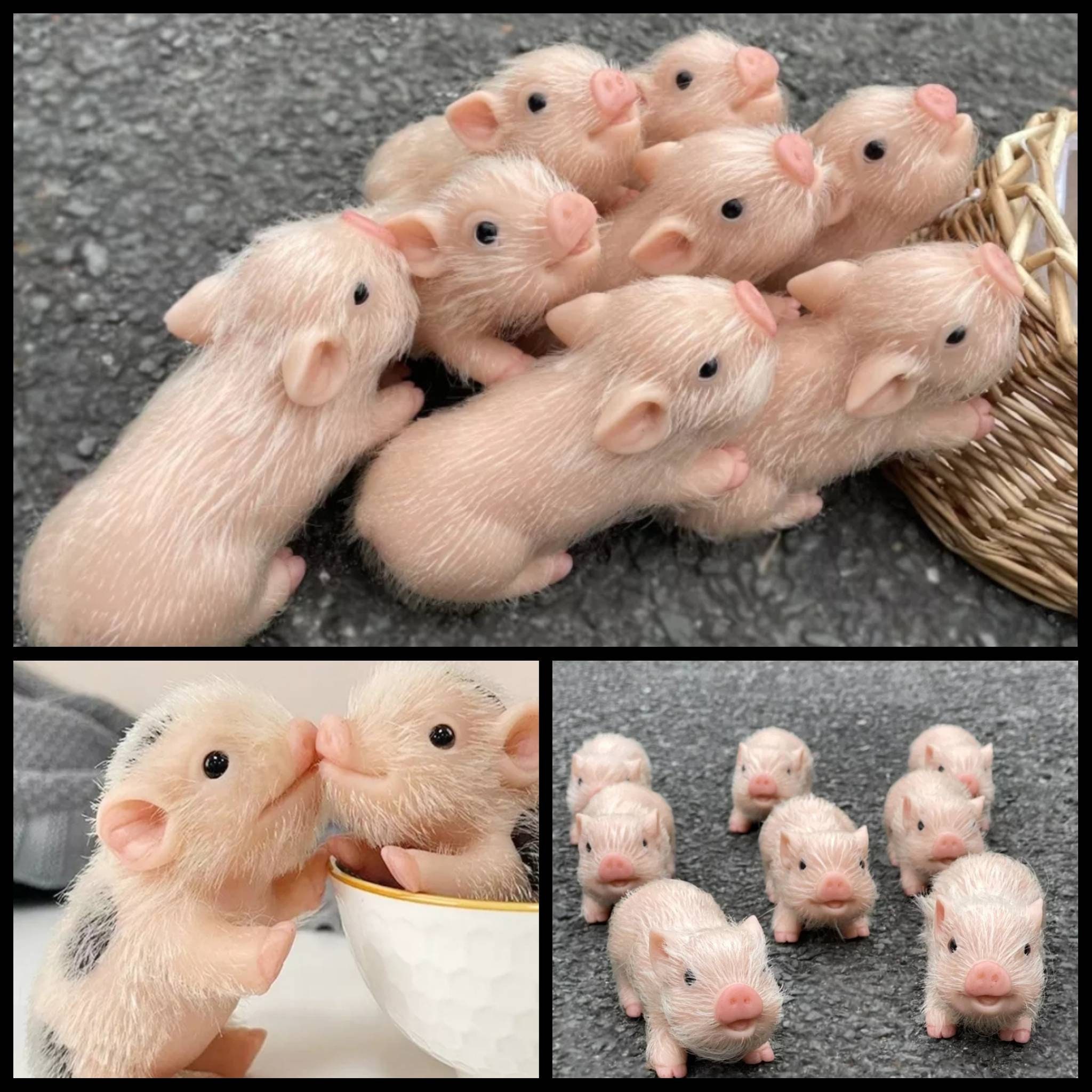 Full Silicone Miniature Piglet Named Pickles sold Seperatly - Etsy