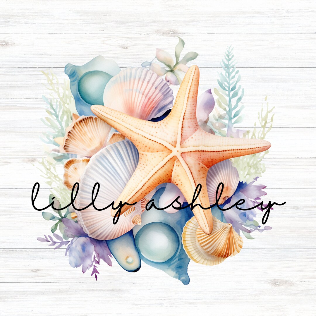Beach PNG Designs, Seashell Clipart Set, Floral Elements, Ocean Flower ...