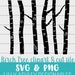 Birch Tree SVG Cut File Svg/png Formats. Birch Tree Clipart Black and ...