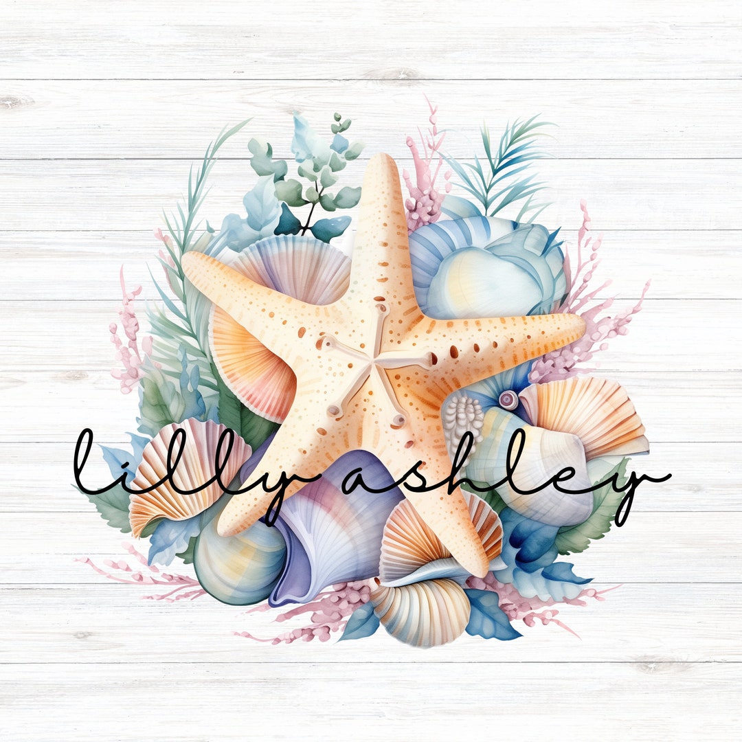 Beach PNG Designs, Seashell Clipart Set, Floral Elements, Ocean Flower ...