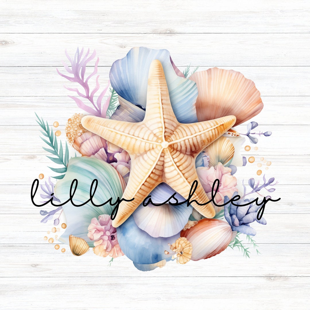 Beach PNG Designs, Seashell Clipart Set, Floral Elements, Ocean Flower ...