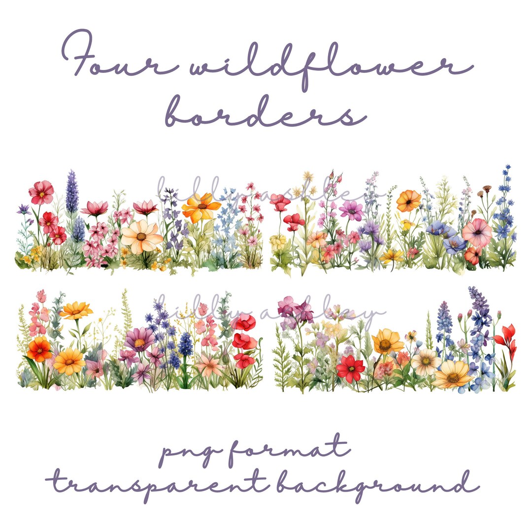 Wildflower Borders Clipart Set of 4 Floral Frames, PNG Watercolor ...