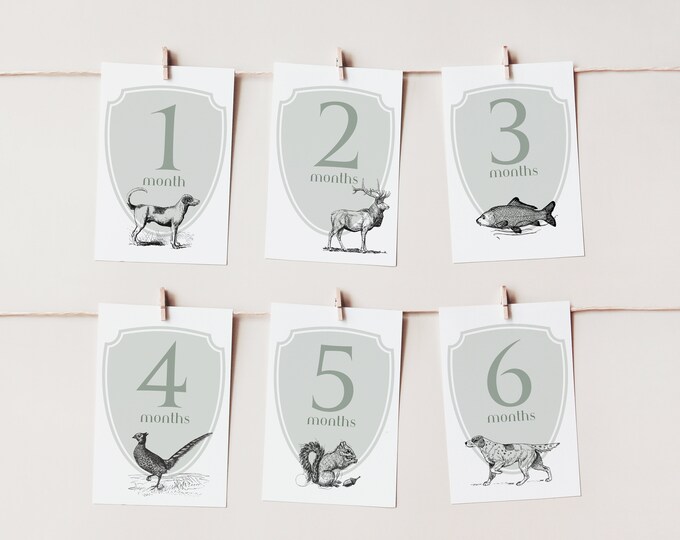 White and Green Woodland Animals Monthly Milestone Cards ~ Hunting ...