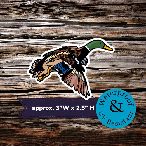 Im Fast as F Boi Blue Wing Teal Duck Sticker - Etsy