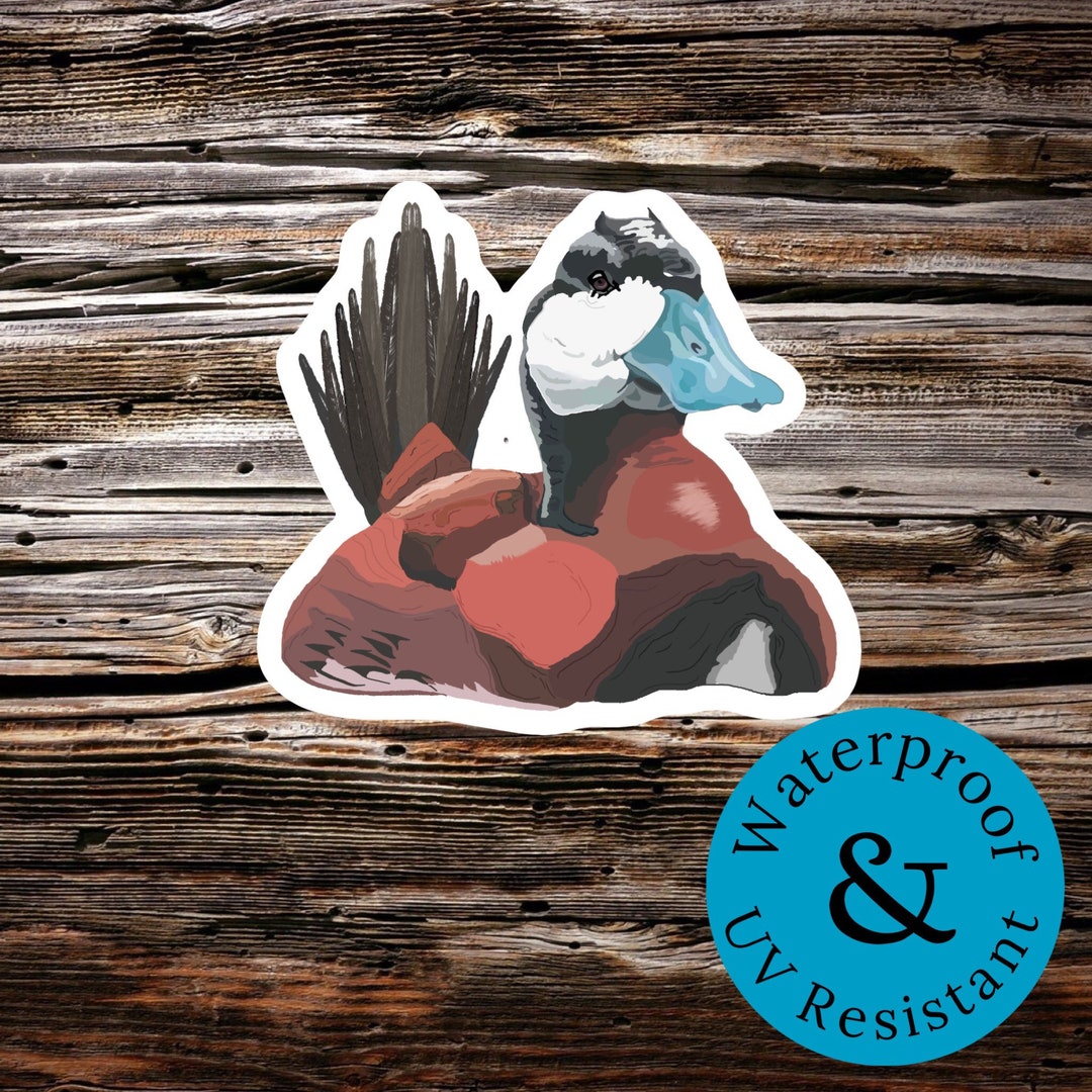 Rudder Duck Sticker, Ruddy - Etsy