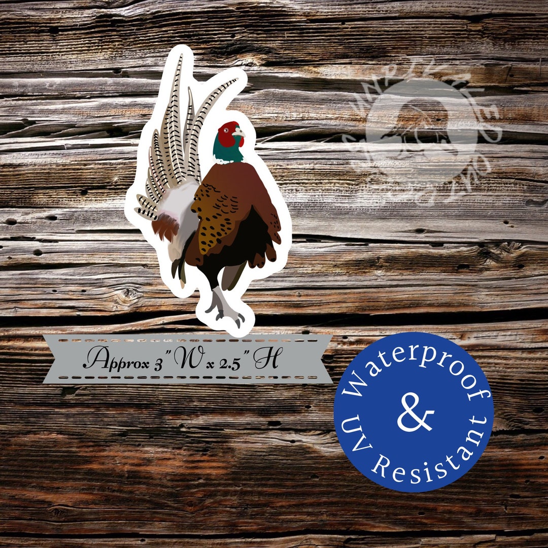 Pheasant Sticker - Etsy