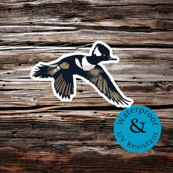 Hooded Merganser Flying Duck Sticker Car Truck Boat Decal Tool | Etsy