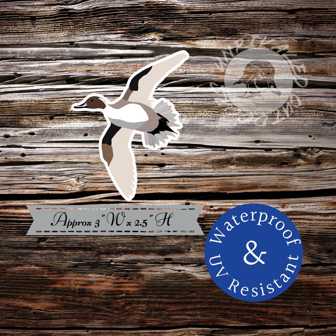Pintail Flying Duck Sticker Decal - Etsy
