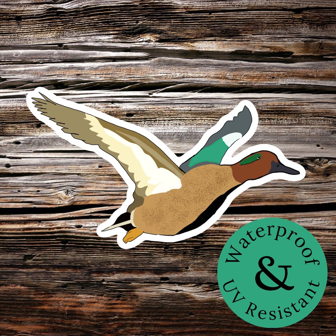 Green Wing Teal Duck Sticker - Etsy