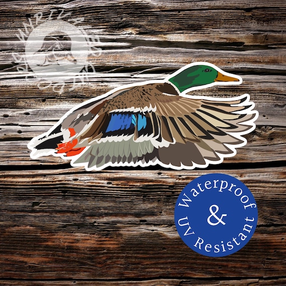 Mallard Duck Sticker | Etsy