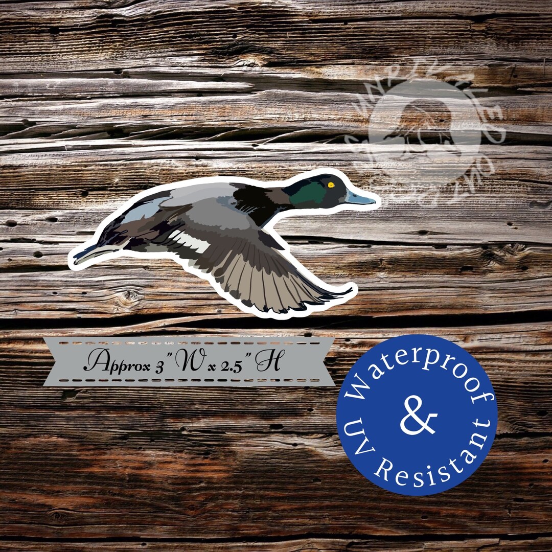 Scaup Duck Blue Bill Flying Sticker - Etsy