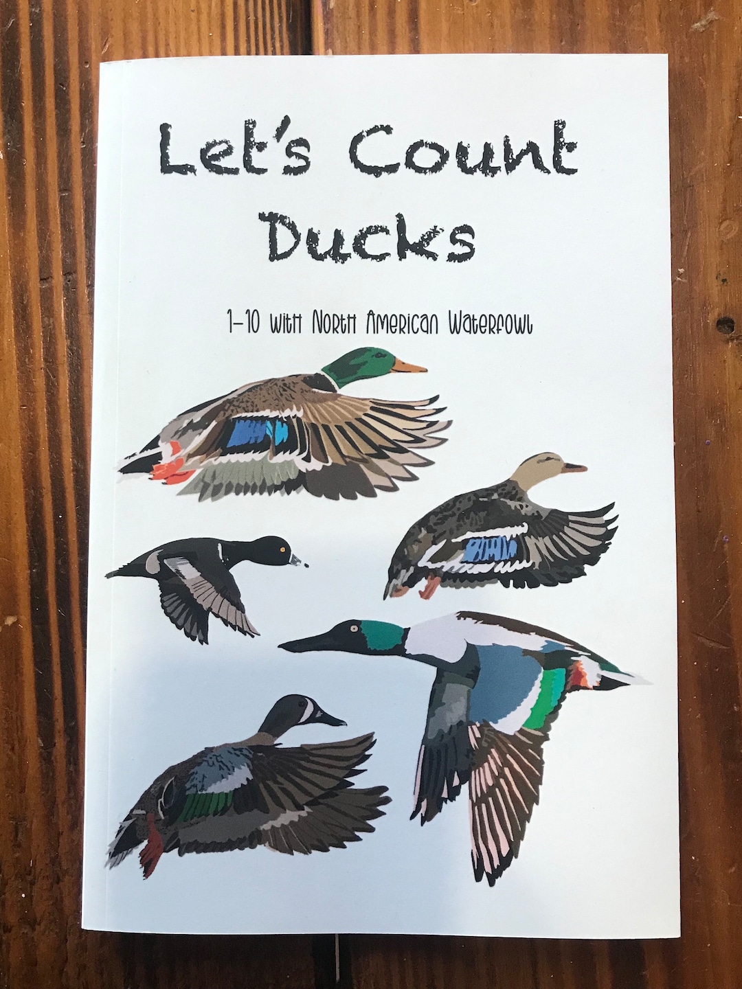 Let’s Count Ducks North American Waterfowl Counting 1-10 Book - Etsy