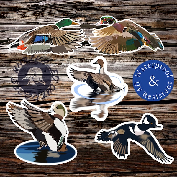 Wood Duck Hen - Etsy