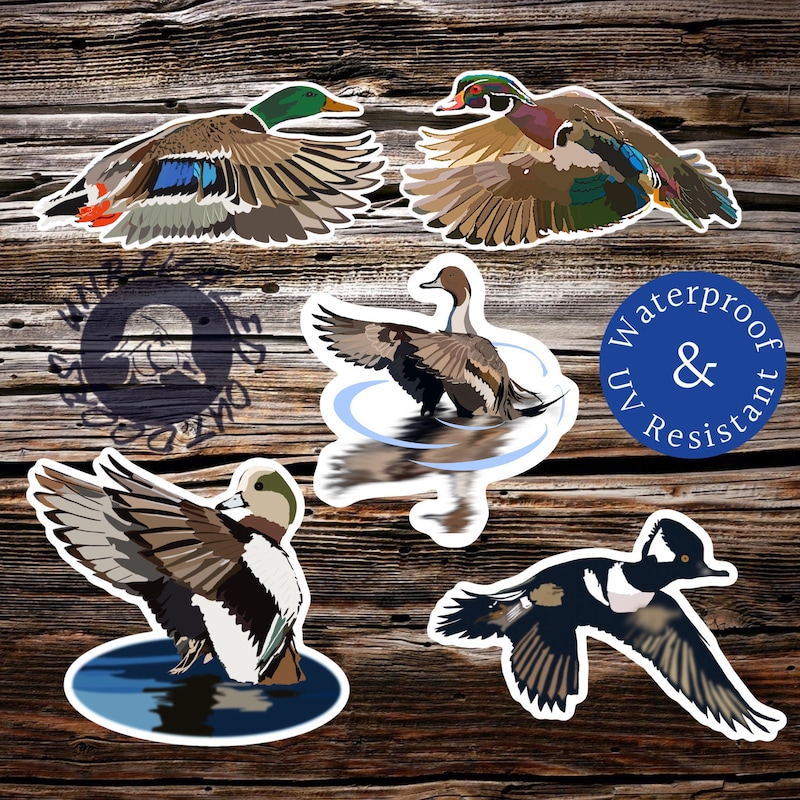 Wood Duck Hen - Etsy