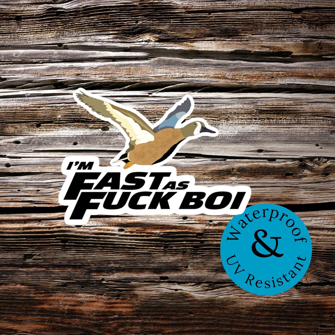 Im Fast as F* Boi Blue Wing Teal Duck Sticker - Etsy