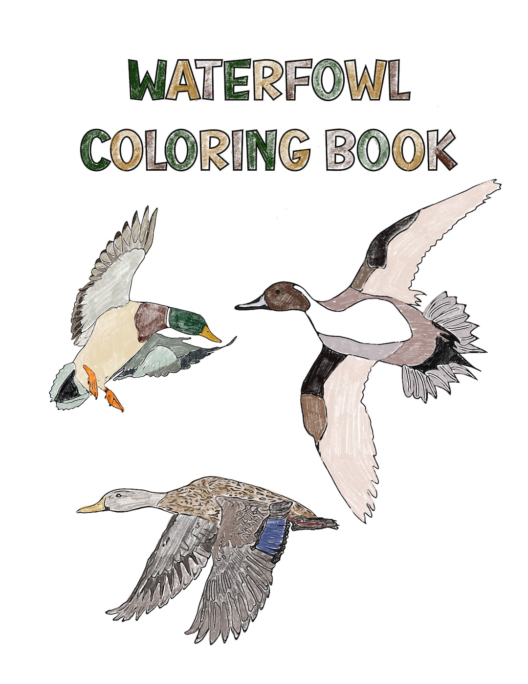 Waterfowl Coloring Book A Realistic Duck Coloring Book, for Hunters ...