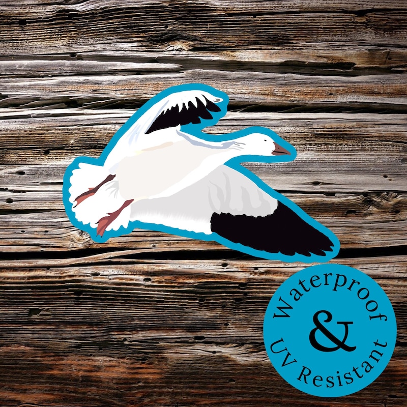 Snow Goose - Etsy