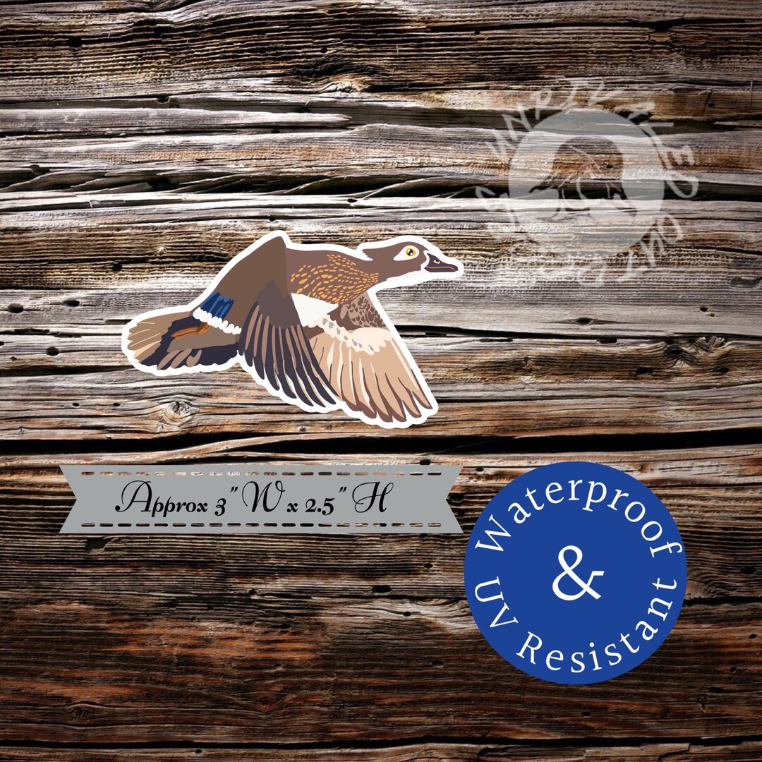 Hen Wood Duck Woodie Flying Duck Sticker Decal - Etsy