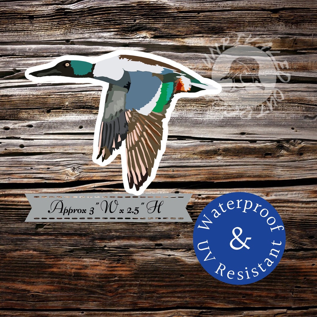 Northern Shoveler Spoonie Spoon Bill Duck Spoony - Etsy