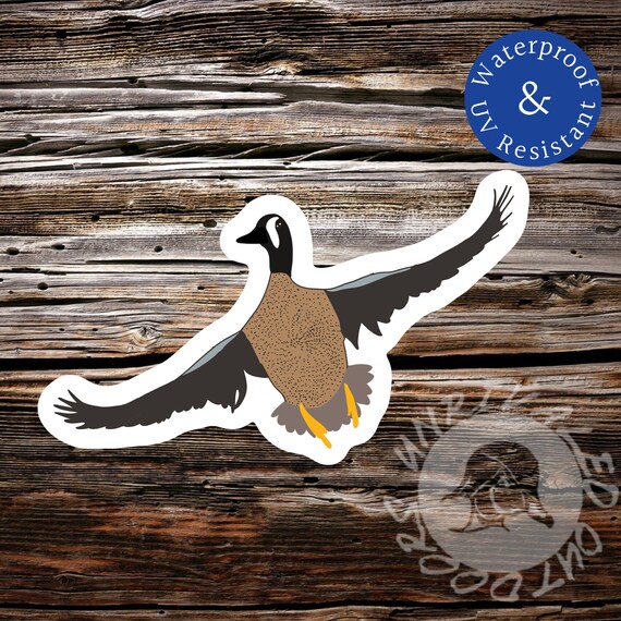 Blue Wing Teal Duck Sticker - Etsy