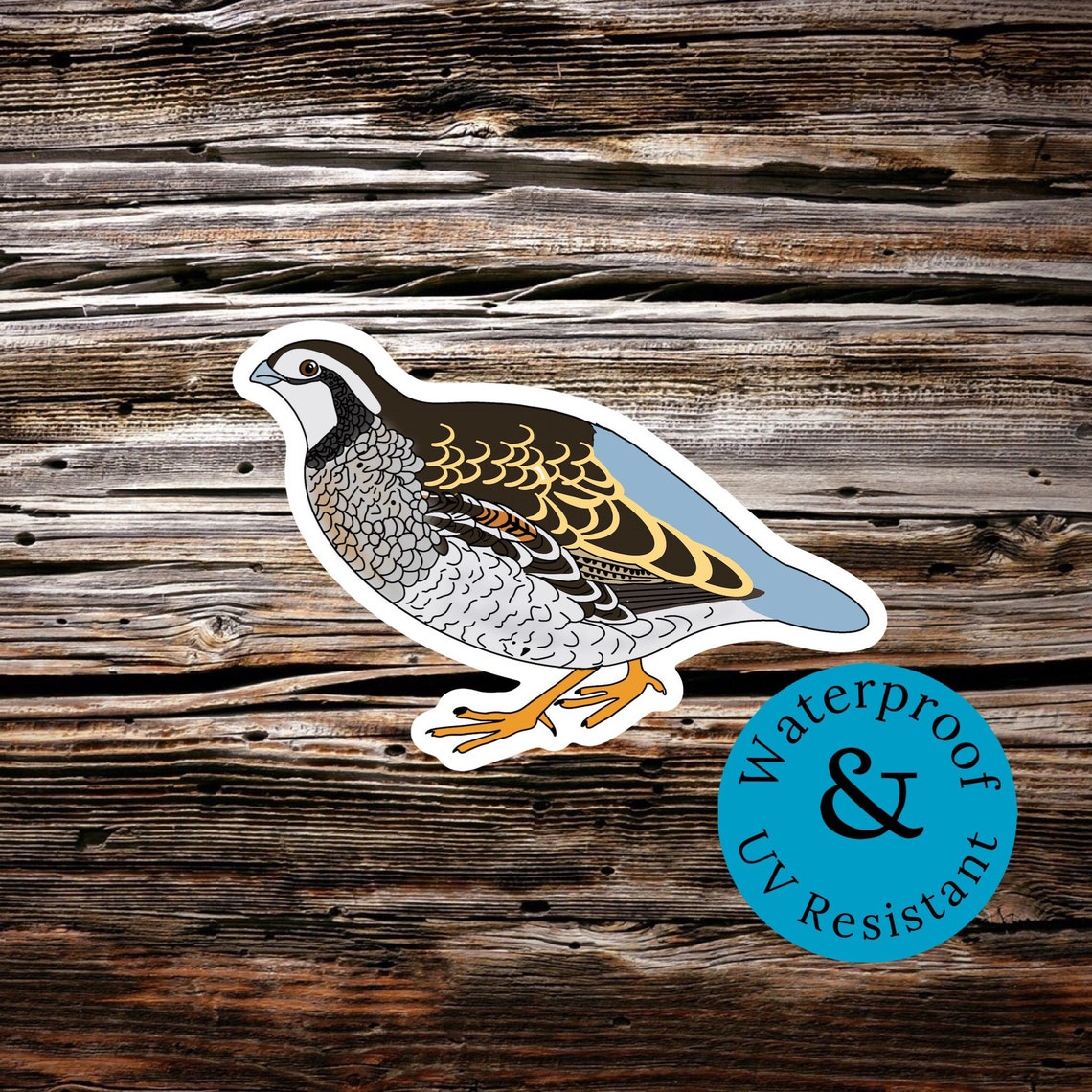 Bob White Quail Bird Sticker Decal - Etsy
