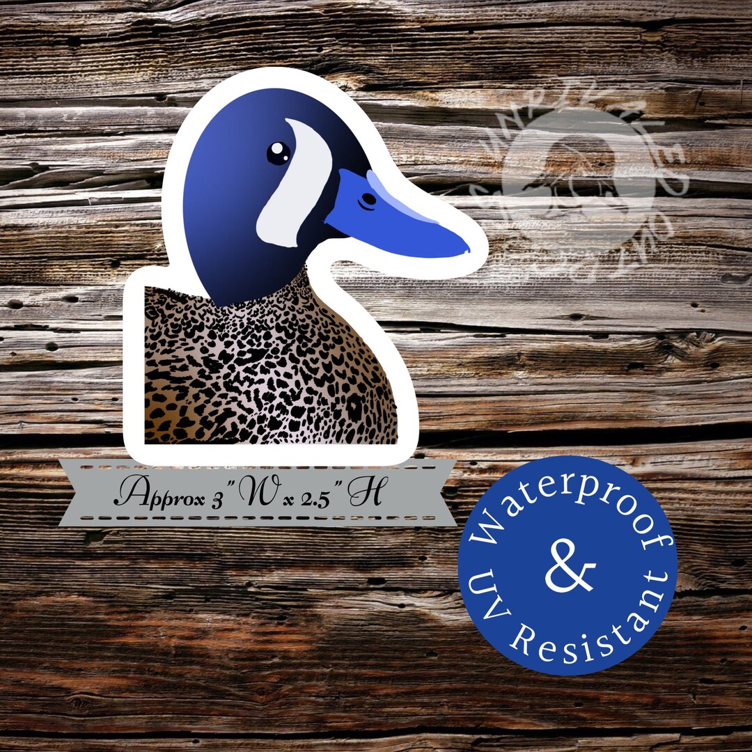 Blue Wing Teal Sticker Duck - Etsy