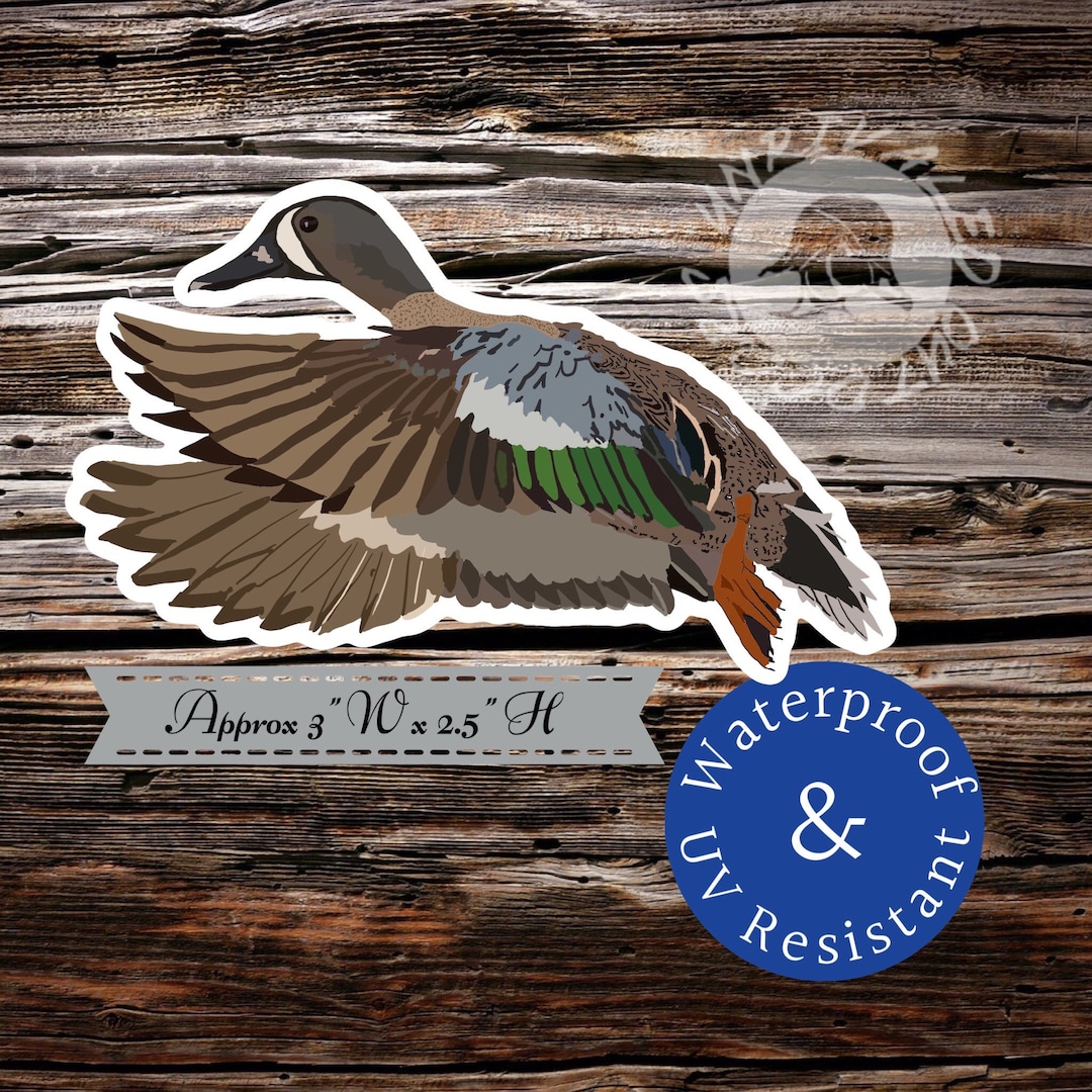 Blue Wing Teal Flying Sticker - Etsy
