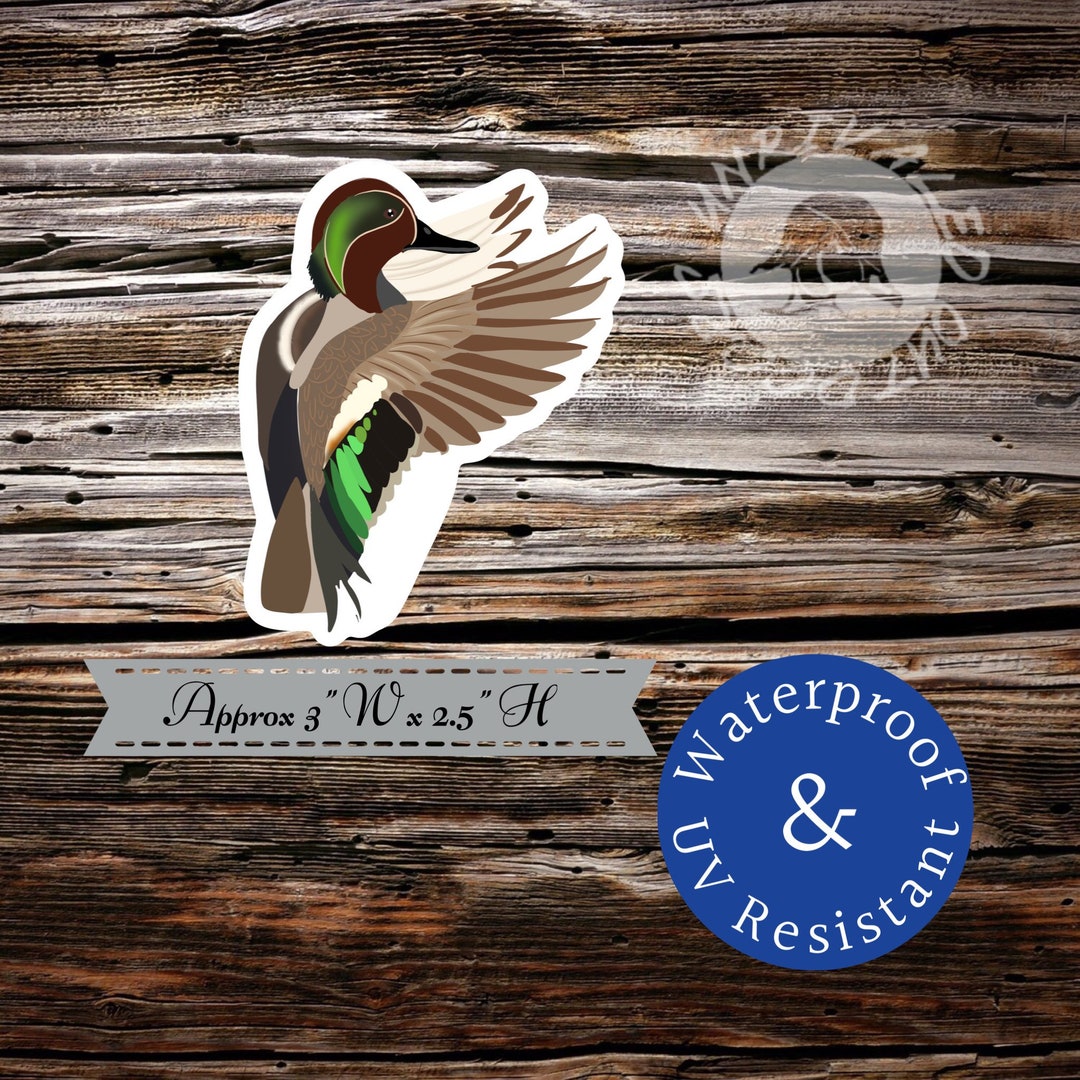 Green Wing Teal Sticker Duck - Etsy