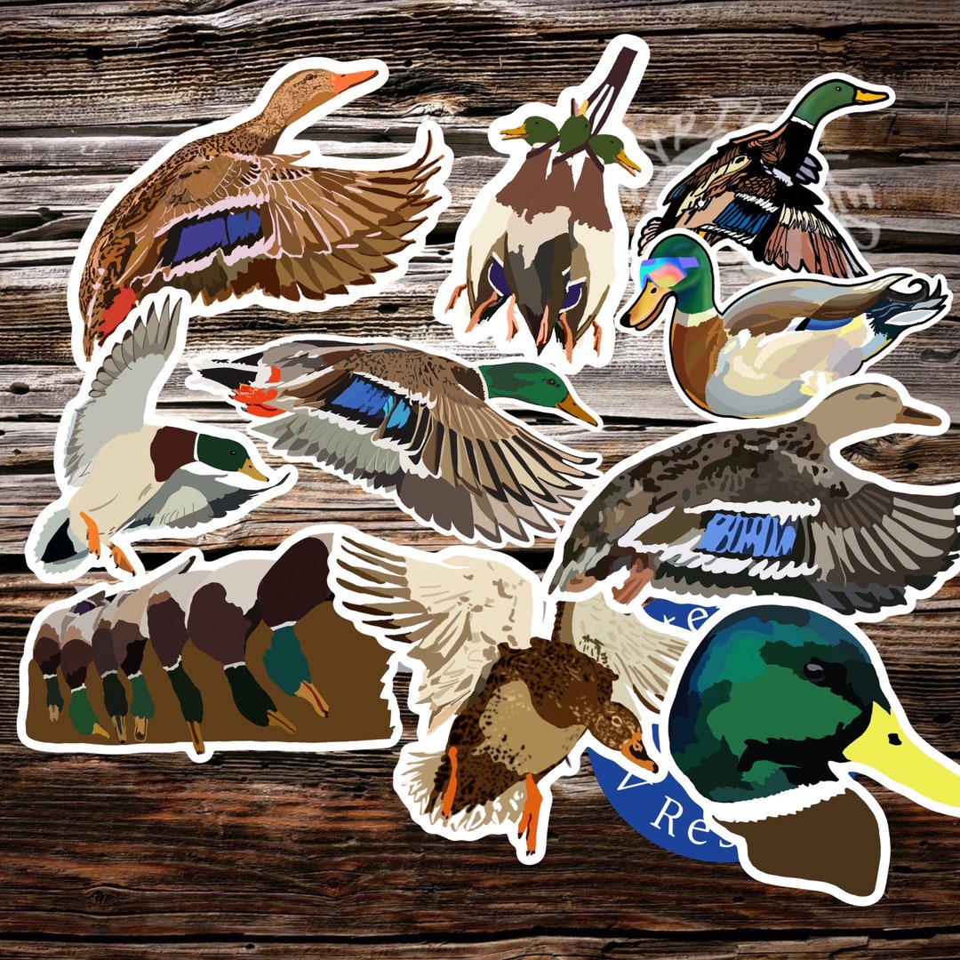 Mallards Super Pack, Set of 10 Stickers/ Decals - Etsy