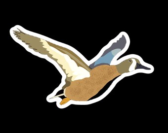 Im Fast as F Boi Blue Wing Teal Duck Sticker - Etsy