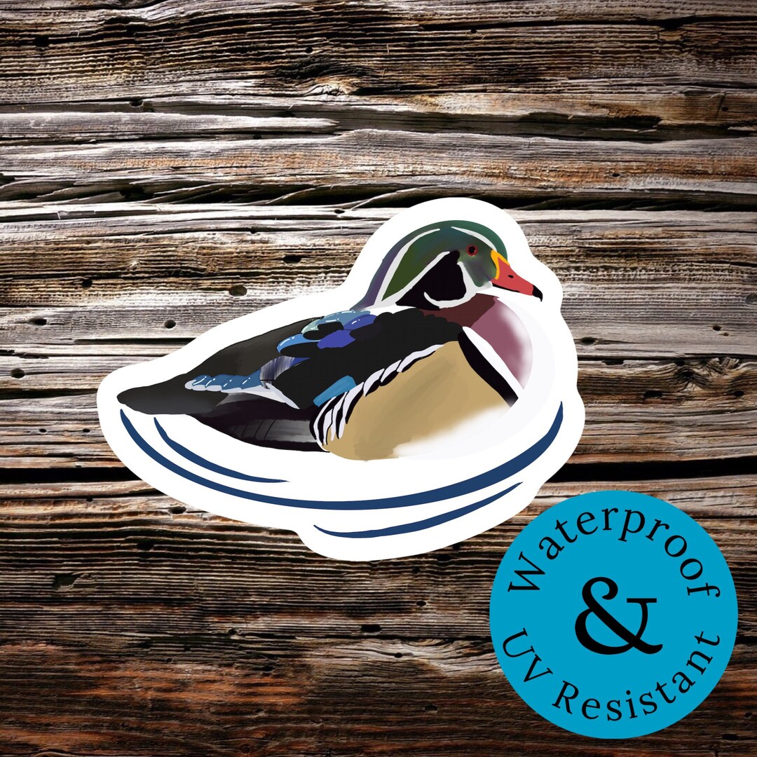 Wood Duck on the Water, Woodie Sticker, Woodduck - Etsy