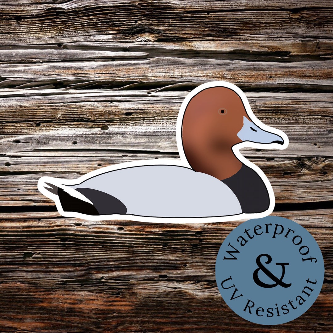 Red Head Duck Sticker - Etsy