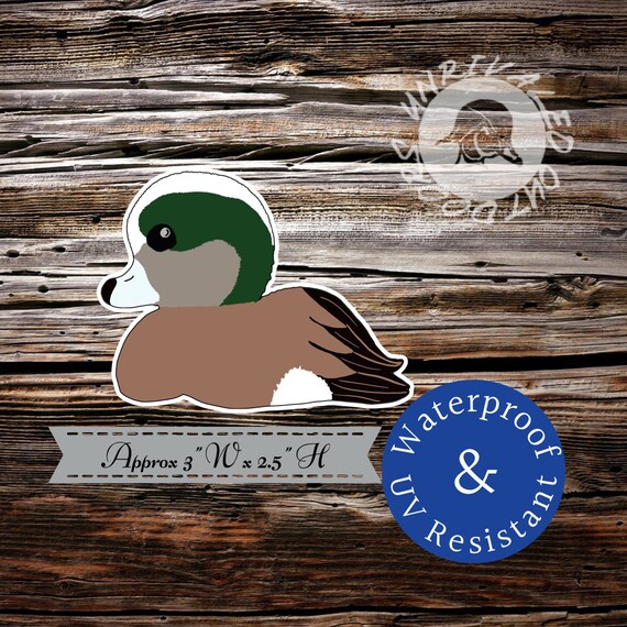 Wigeon Duck Sticker | Etsy