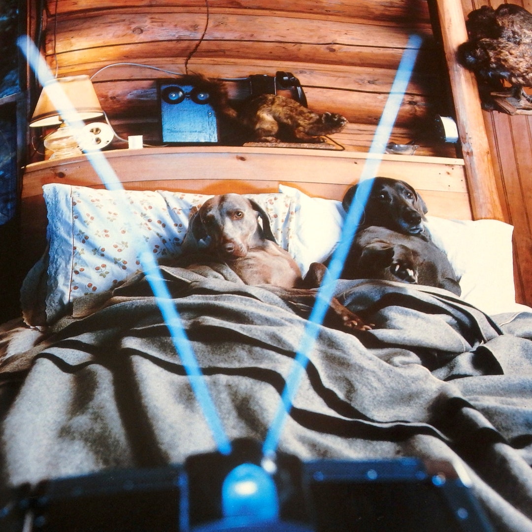 Man's Best Friend Book Photographs by William Wegman Photographs ...