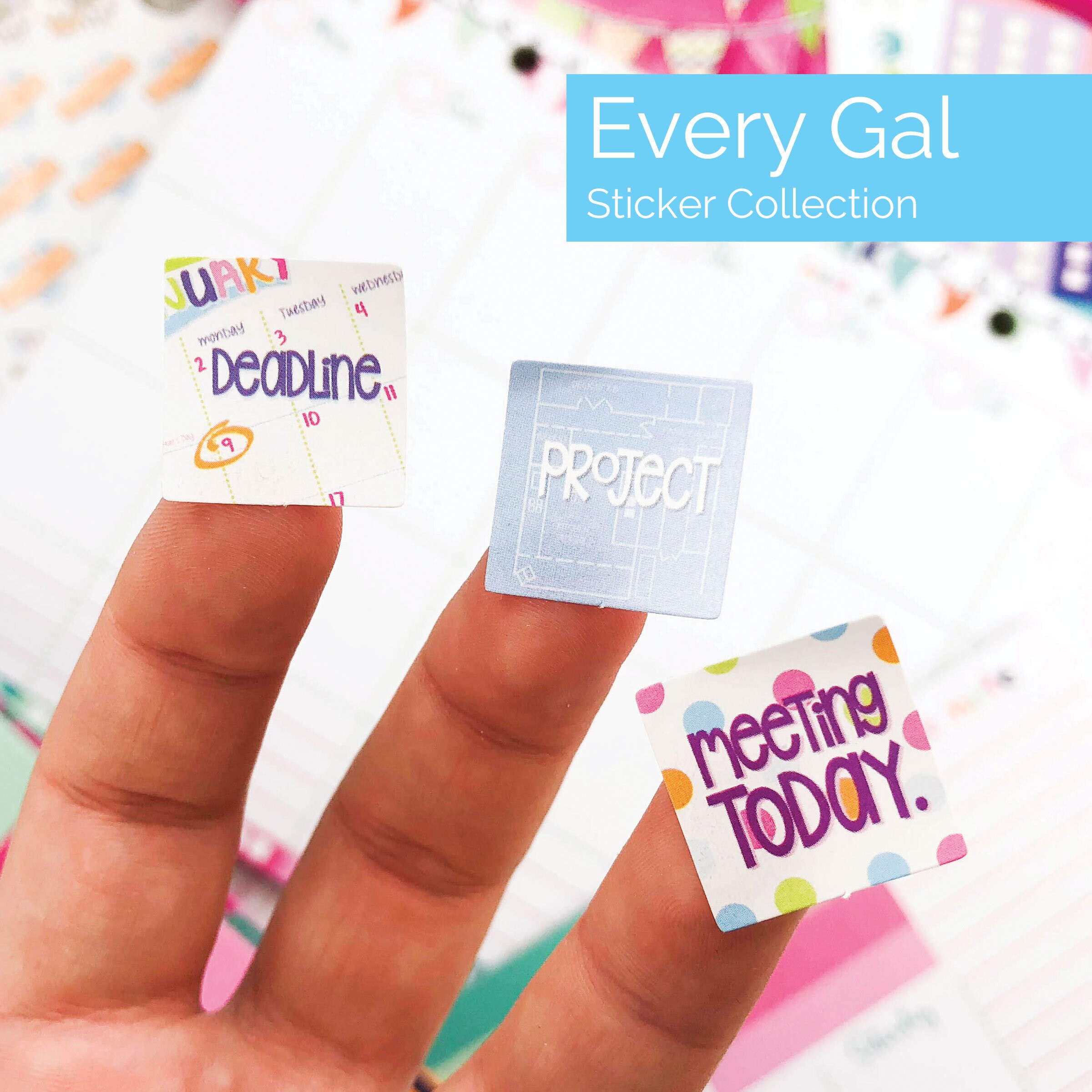 Event Planner Stickers 1850 Sticker Mega Set Includes ALL | Etsy