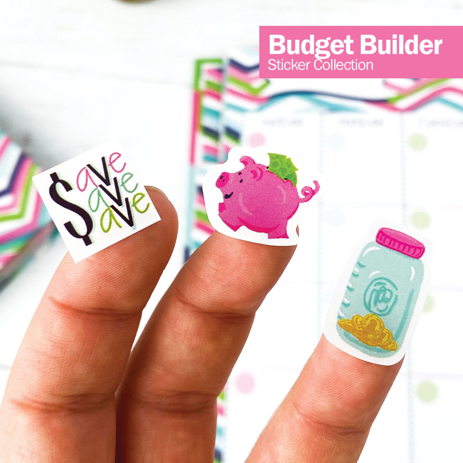 Budget Planning Sticker Sets Financial Planning 772 Count - Etsy