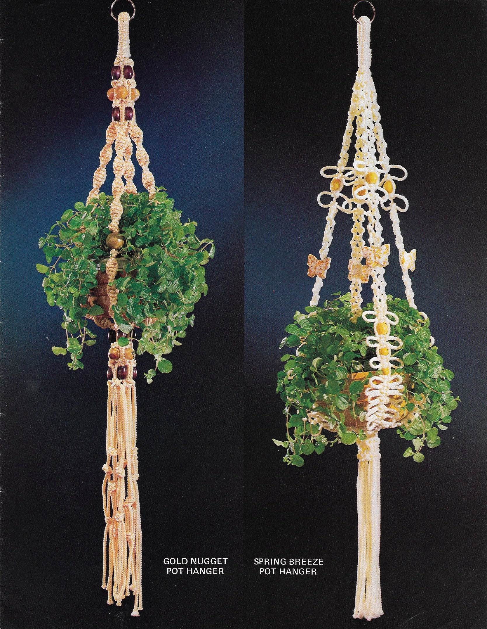 Macrame Festival 1970s Learning Macramé Knots Frog Owl | Etsy