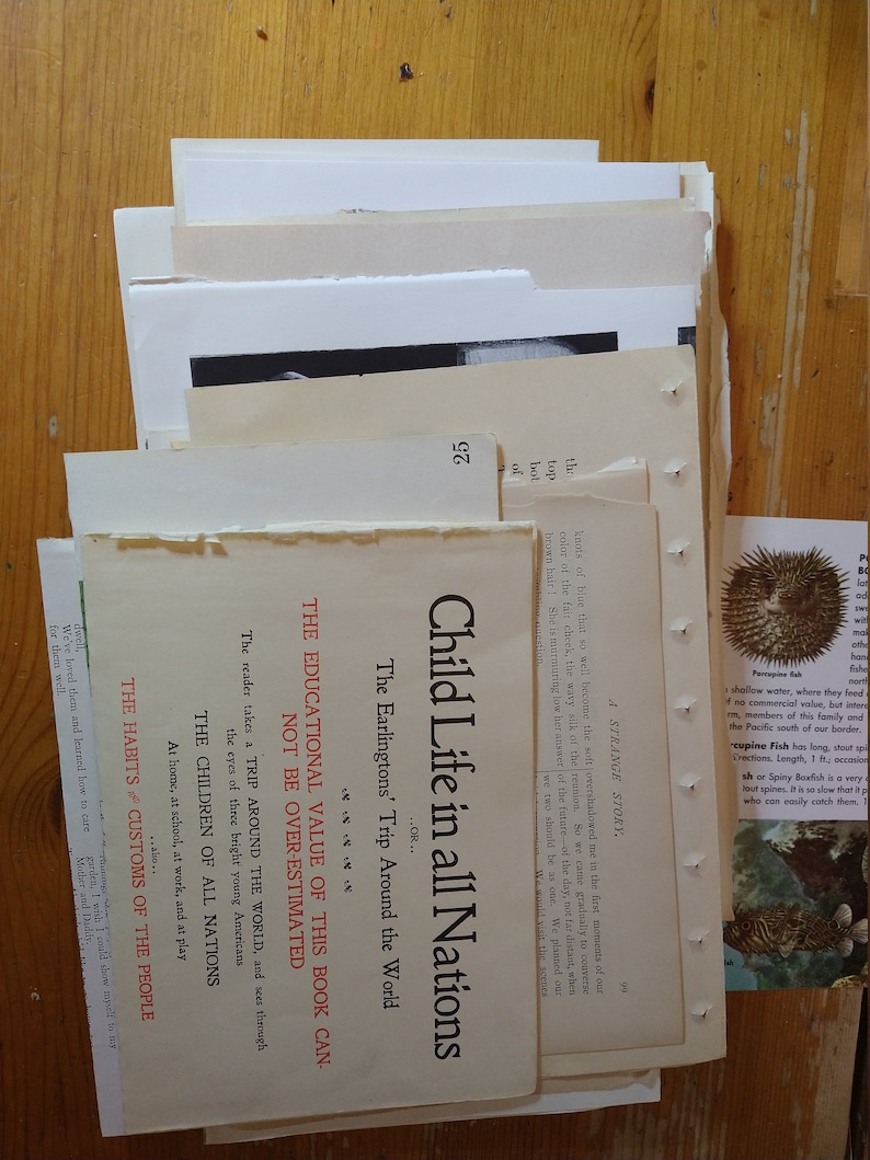Vintage Book Pages Bundles - Etsy