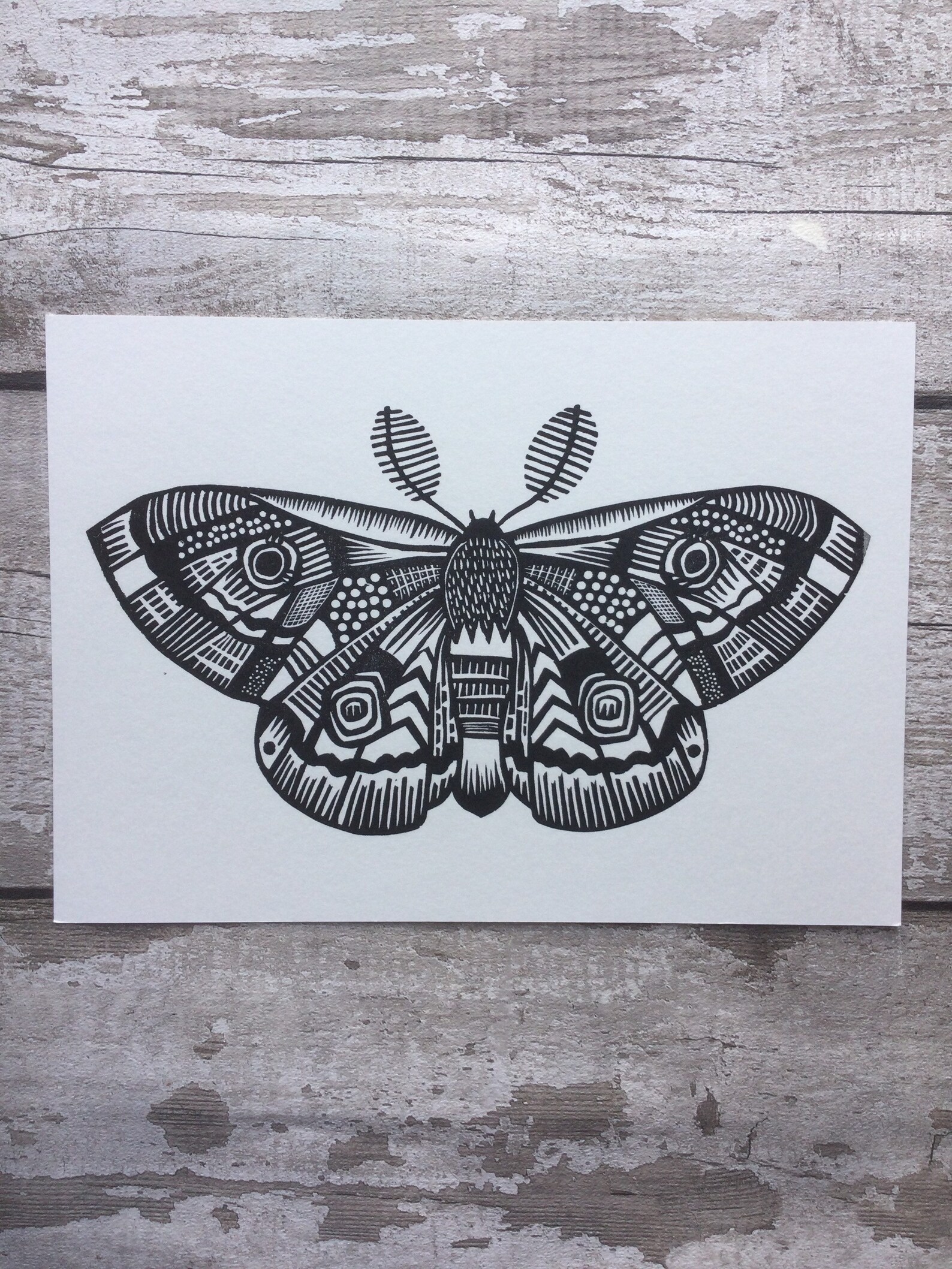 Moth Moth Print Moth Art Tattoo Art Linocut Animal - Etsy