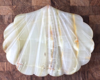 Alabaster Shell - Etsy